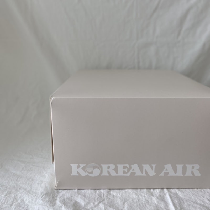 대한항공 마일리지로 구매한 트래블 레디백 찐 사용후기 장단점 솔직하게 적었어요 네이버 블로그