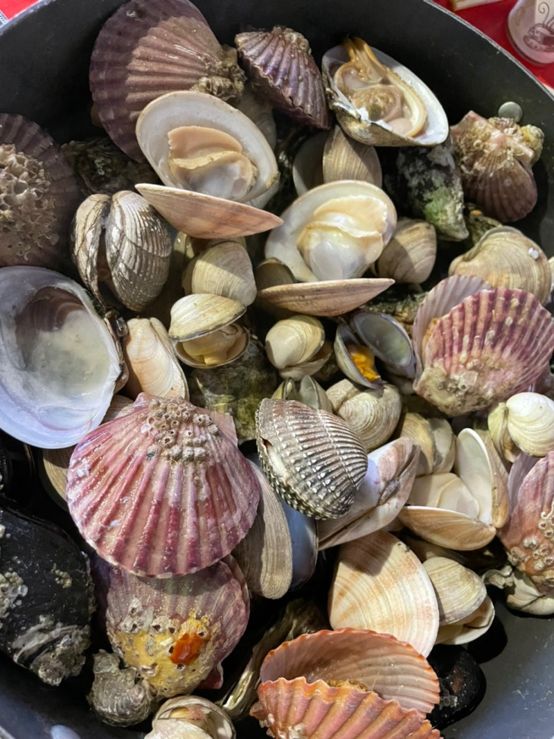 청량리 노포감성 야장 조개찜 : 네이버 블로그