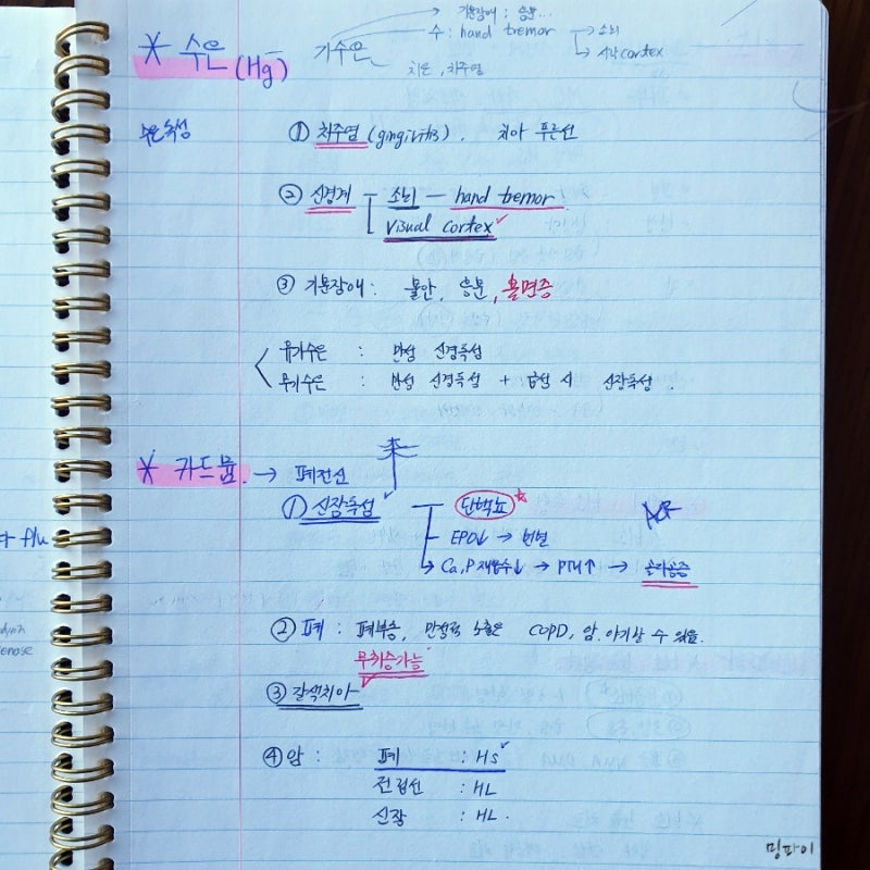 공시생 공무원 합격 공부법 코넬노트 필기 노트 회독 등 꿀팁 대방출 네이버 블로그