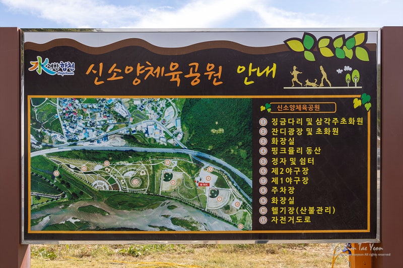 합천 핑크뮬리 신소양체육공원 가을꽃구경 경남여행지 추천 네이버 블로그