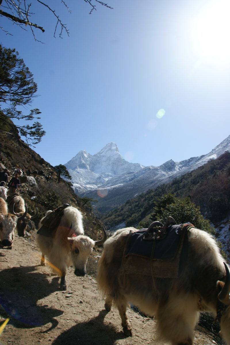 등산강사의 히말라야트레킹준비 꿀팁 네팔 임자체등반 기록 : 네이버 블로그