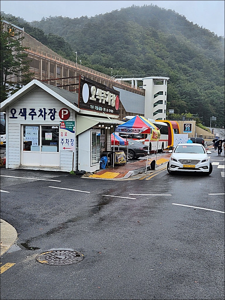 설악산 흘림골 단풍산행feat 예약방법 주차정보 네이버 블로그