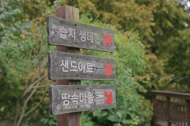 이천 아이와 갈만한곳 자연나라숲속여가마을 주말 당일치기 여행 네이버 블로그
