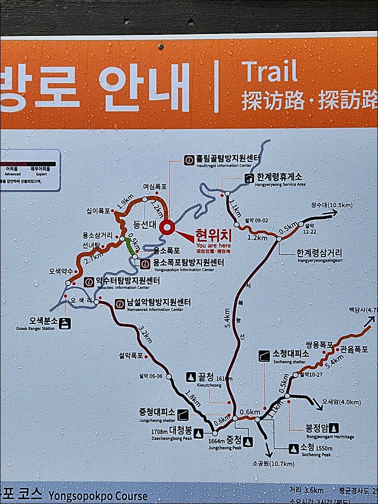 설악산 흘림골 단풍산행feat 예약방법 주차정보 네이버 블로그