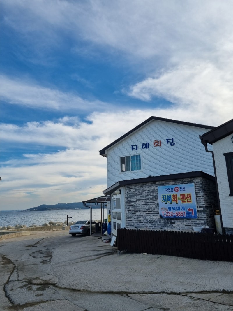 포항 지혜횟집 살면서 꼭 한번은 가봐야할 포항맛집 네이버 블로그
