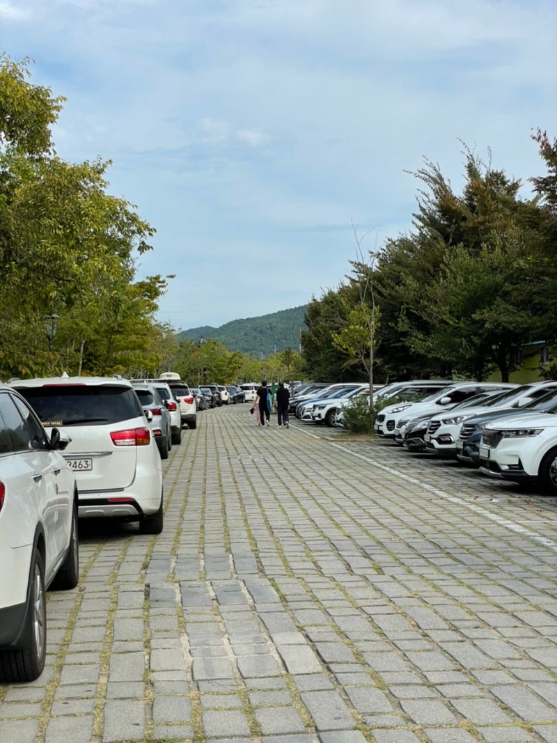 담양 죽녹원 여행코스후문부터 지도와 입장료까지 총정리ft주차장 네이버 블로그