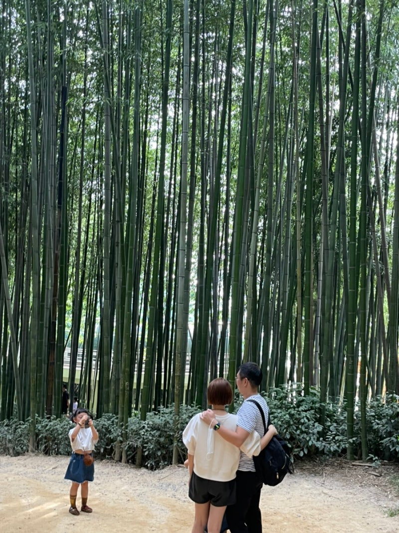 담양 죽녹원 여행코스후문부터 지도와 입장료까지 총정리ft주차장 네이버 블로그