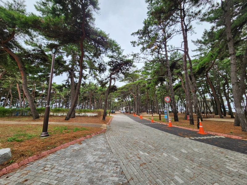국립공원스탬프투어2 고사포해변《변산반도국립공원 고사포야영장앞에서~》20221008 네이버 블로그