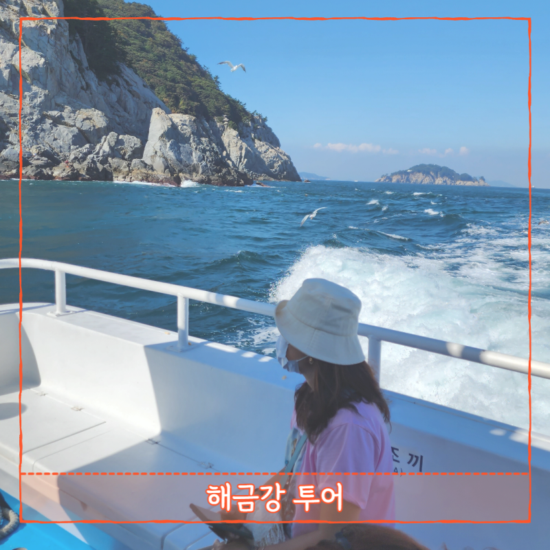 거제도 여행 장승포 외도유람선 코스 시간표 주차장 터미널 외도섬 보타니아 네이버 블로그