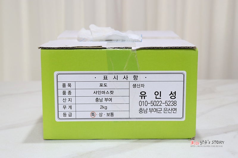 야곱농장 샤인머스켓 오픈 토스트 샌드위치 만들기 식빵요리 네이버 블로그
