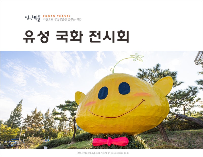 유성 국화 전시회 대전 여행 가볼만한곳 유림 공원 대전 가을 축제 볼거리 놀곳 네이버 블로그
