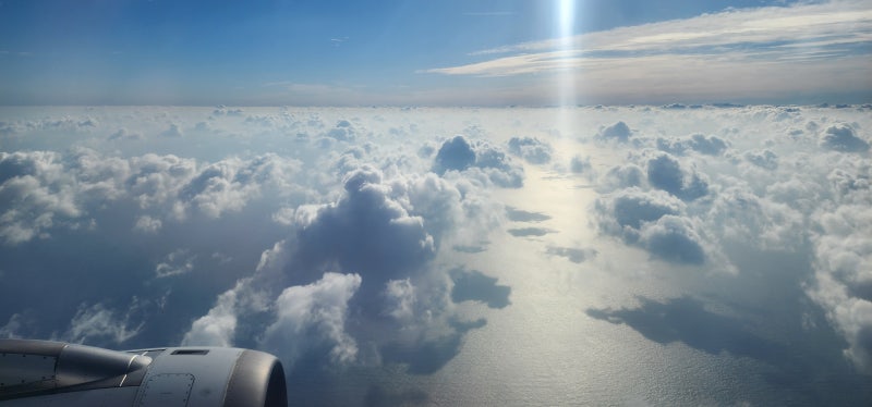 제주도 서귀포 여행 2일차 - 2 (제주도 맛집탐방 : 탐라는 파스타) : 네이버 블로그