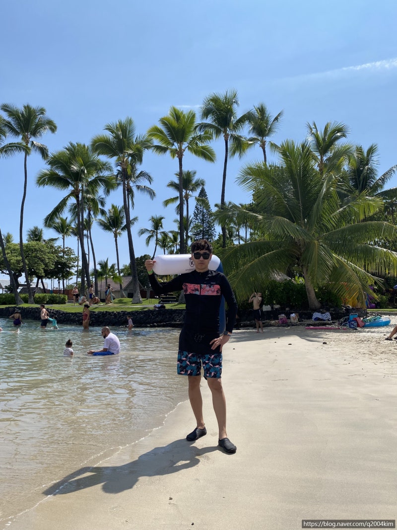 하와이🌺 빅아일랜드 코트야드 킹 카메하메하 코나 비치 호텔 부대시설편수영장 풀바 비치 등 네이버 블로그