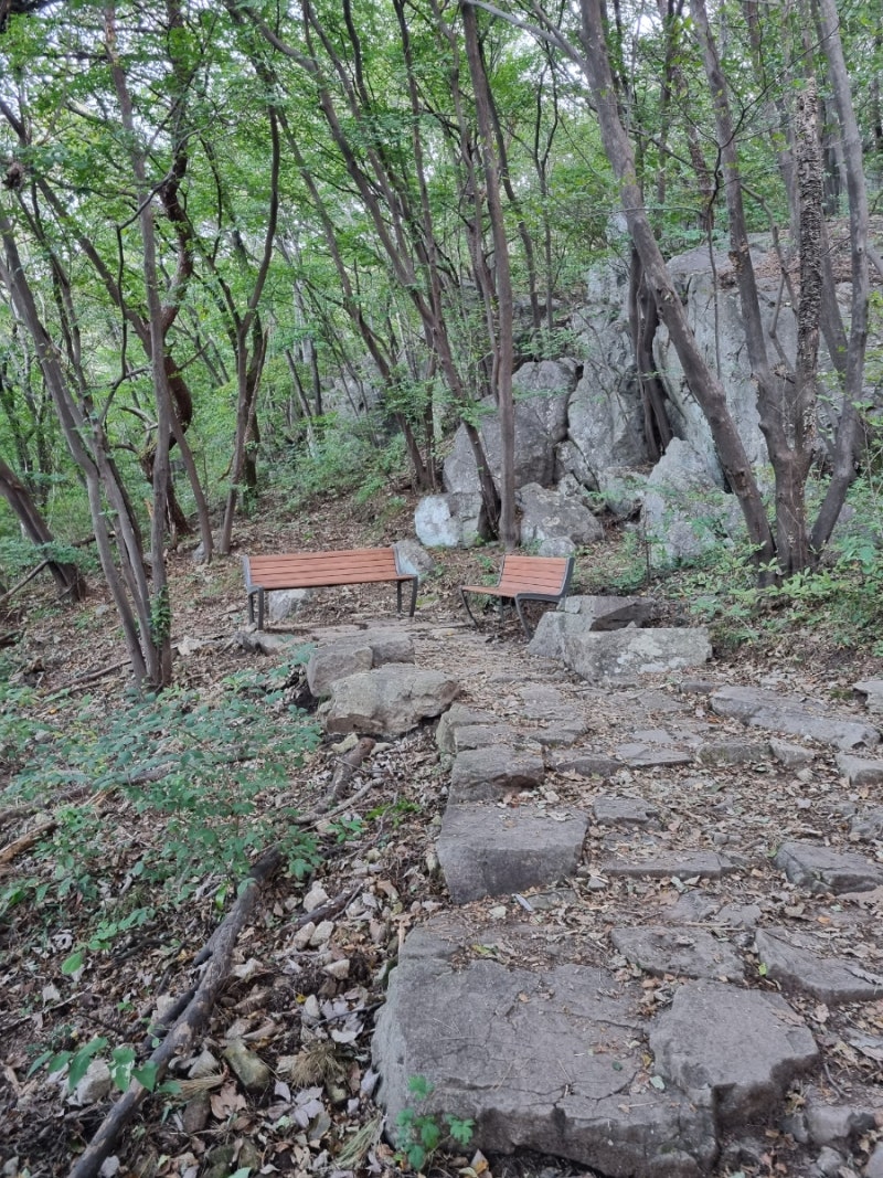 무등산 서석대 지왕봉 천왕봉 등산 최단코스 3년만의 정상개방 네이버 블로그