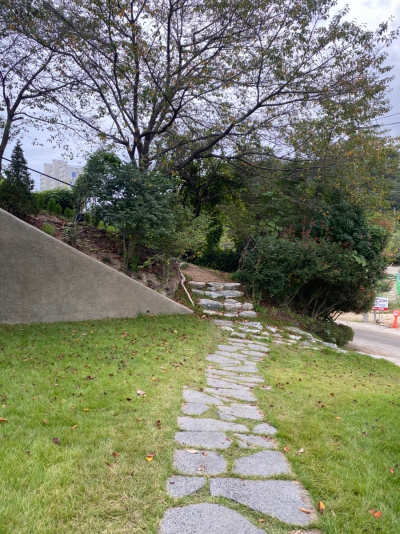 울산레스토랑 울산 부조화숲 분위기좋은 울산데이트 추천 부조화 숲2호점 네이버 블로그