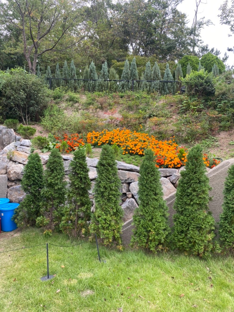 울산레스토랑 울산 부조화숲 분위기좋은 울산데이트 추천 부조화 숲2호점 네이버 블로그