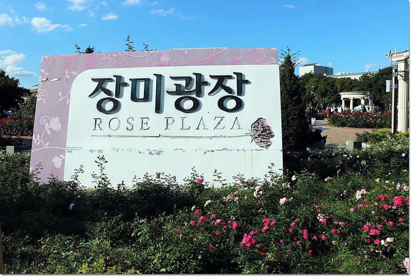 서울 올림픽공원 핑크뮬리 위치 들꽃마루 가는길 잠실가볼만한곳 네이버 블로그