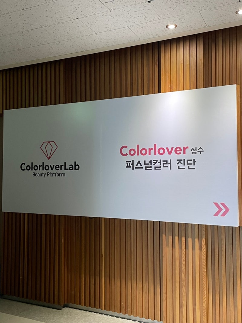 Review 성수 컬러로그에서 퍼스널 컬러 진단 겨울 다크 쿨 네이버 블로그
