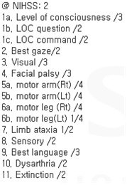 NIHSS, mRS 신경계 사정 : 네이버 블로그