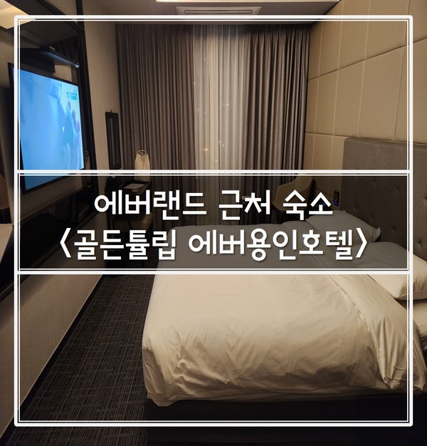 리뷰 에버랜드 근처 가성비 좋은 디럭스더블룸 내돈내산 후기 네이버 블로그