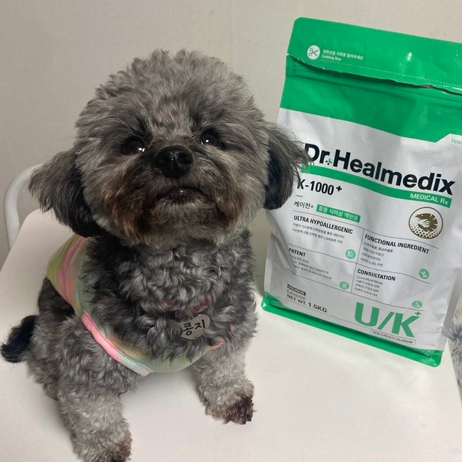 강아지 식이 알러지 사료 닥터힐메딕스 케이천 사료 : 네이버 블로그