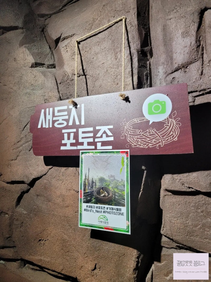 거제 포토존 정리 핑크뮬리 정글돔 식물원 꿀팁 네이버 블로그