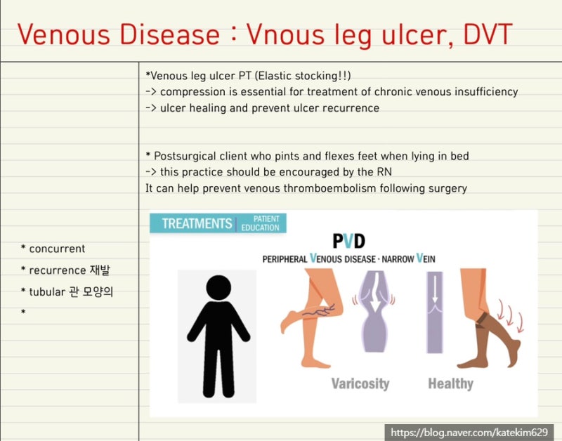 [Nclex공부] 성인 간호학 : 심혈관계 PAD vs PVD (+ DVT) , 아이패드 필기자료 : 네이버 블로그