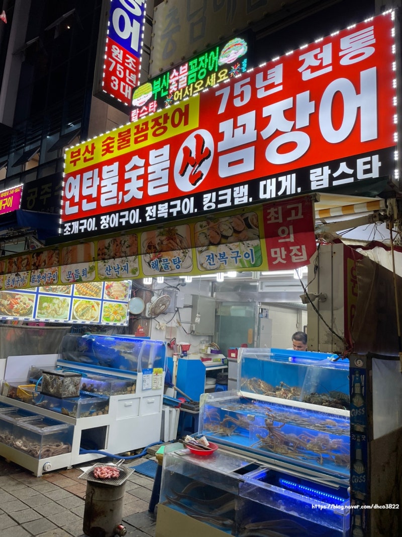 부산여행 내돈내산 맛집 추천 솔직후기 꼼장어 돼지국밥 밀면 회 네이버 블로그