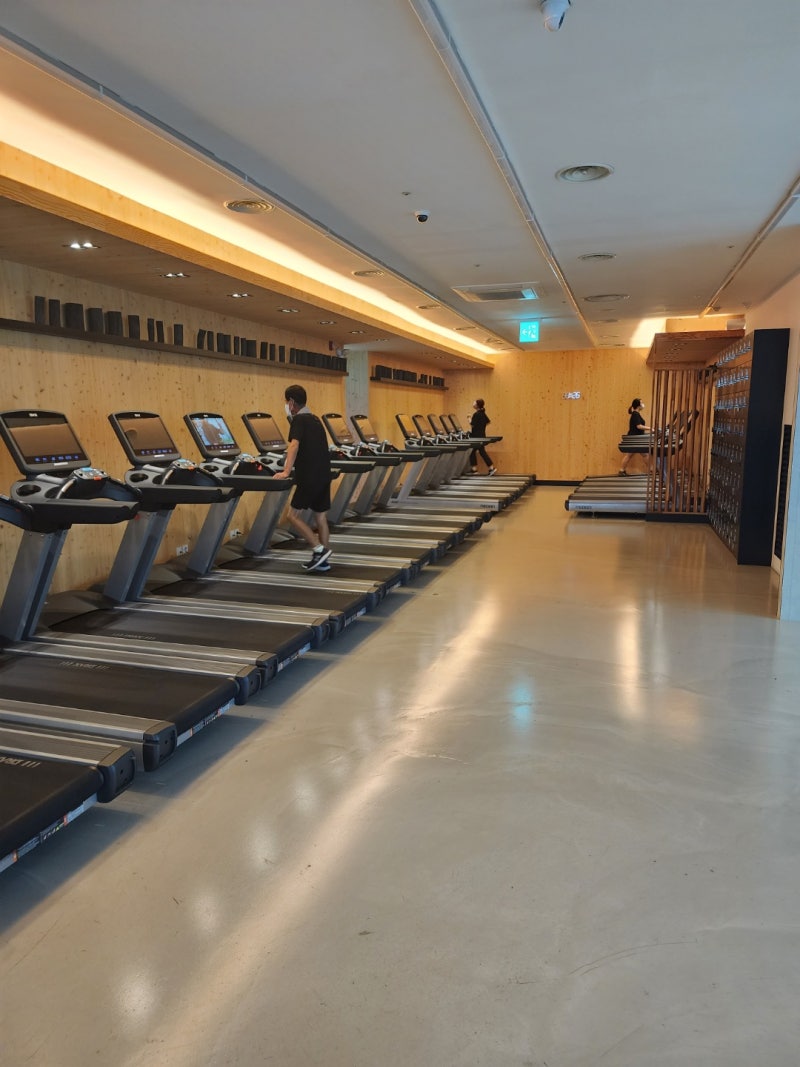 안양역 안양일번가 기구필라테스 플라잉요가 요가 헬스 Pt 라이프휘트니스 네이버 블로그