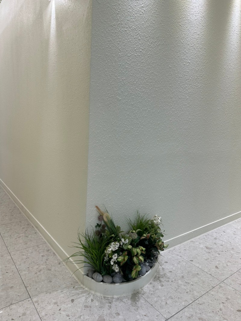 강릉 미용실 리뷰 에코레비헤어앤스파 유천택지에 강릉 두피관리 전문 미용실이 생겼어요 네이버 블로그