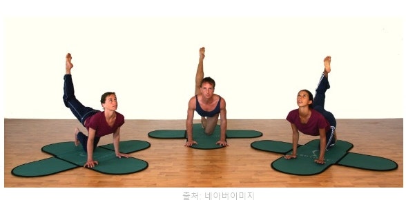 손예진 김사랑 운동 자이로토닉 효과 필라테스 차이 동작 기구종류 자세교정 네이버 블로그