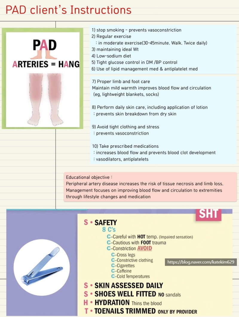 [Nclex공부] 성인 간호학 : 심혈관계 PAD vs PVD (+ DVT) , 아이패드 필기자료 : 네이버 블로그
