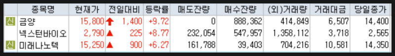 2022년 10월 12일 시간외 특징주 상한가 상승종목 하한가 하락종목 이유 금양 넥스턴바이오 미래나노텍 테라셈 네이버 블로그