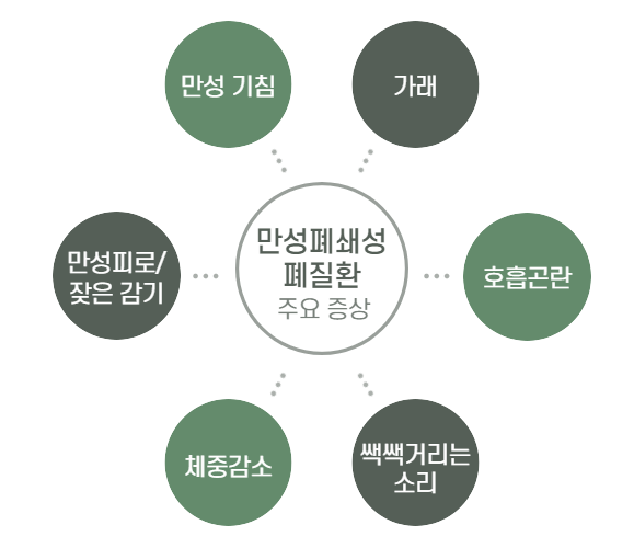 만성폐쇄성폐질환 폐기종 증상 원인 치료제와 치료 방법 네이버 블로그