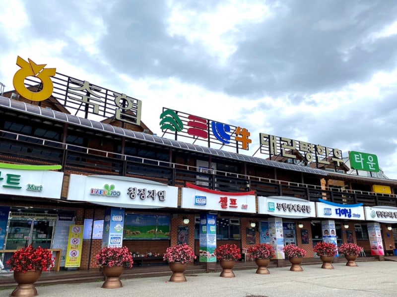 평창 횡계 맛집 대관령한우타운 축협대관령한우타운 네이버 블로그