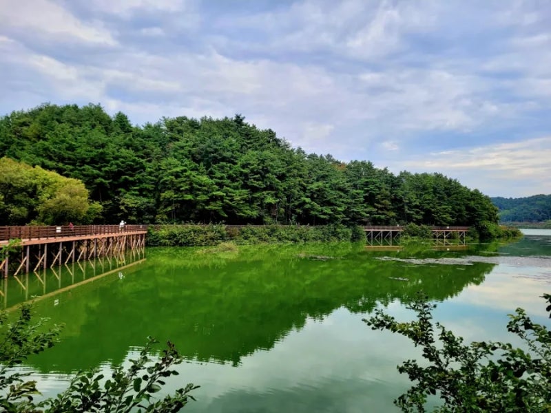 세종시 고복저수지 둘레길 트레킹 연기대첩비공원 원점회귀 64km 2시간 소요 네이버 블로그