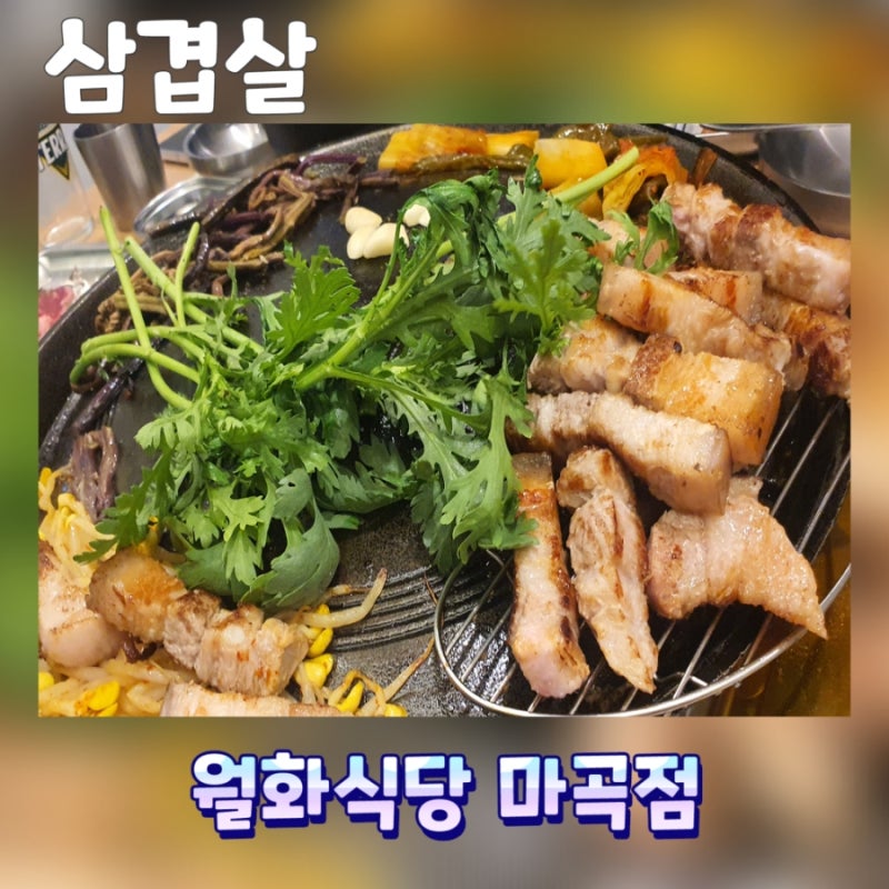 서울 강서구 월화식당 마곡점 새로 오픈한 회식하기 좋은 발산역 솥뚜껑 삼겹살 맛집 네이버 블로그