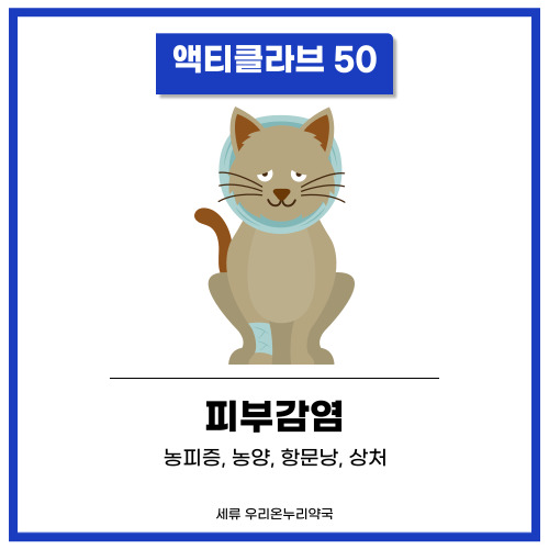 액티클라브 50 강아지 고양이 항생제 용량 계산 및 제품 설명 네이버 블로그