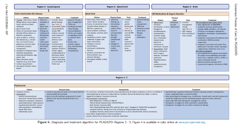 PGAD/GPD, 지속성성기흥분장애/성기골반 이상감각의 원인, 치료(ISSWSH 기반) : 네이버 블로그