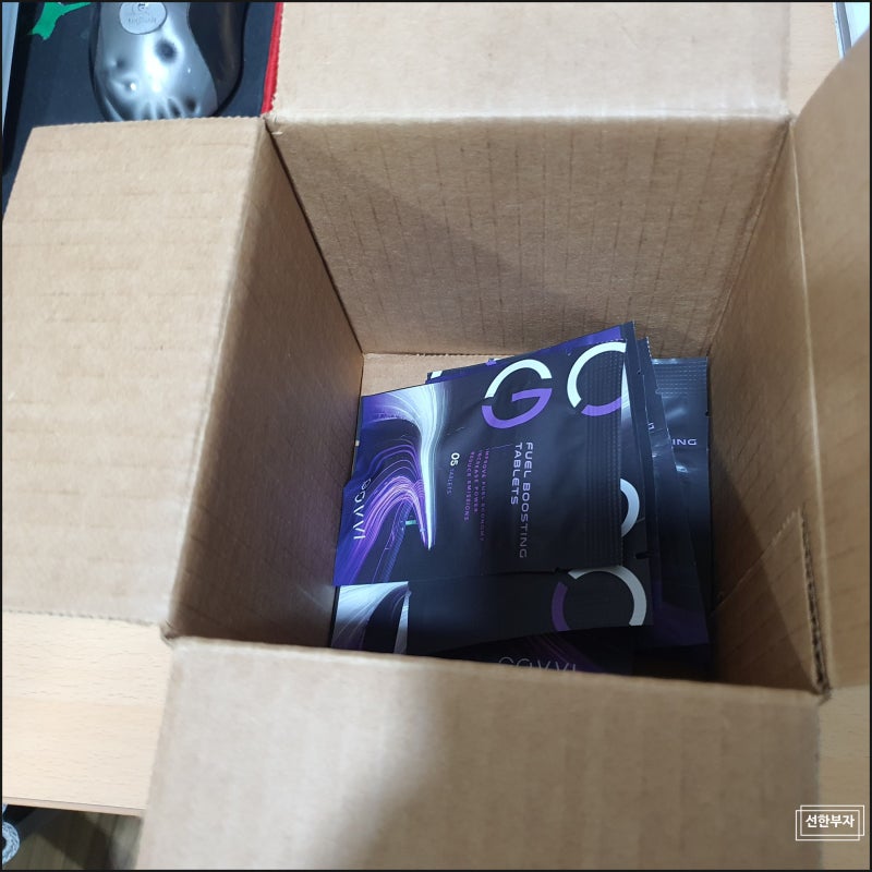 고비(GOVVI)를 아십니까? : 네이버 블로그