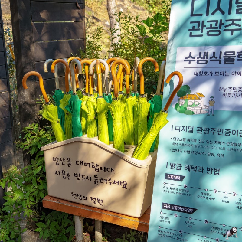 충북 옥천 호수 여행 대청호 호수뷰 수생식물학습원 네이버 블로그