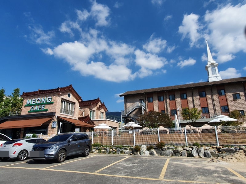 진해애견동반카페 잔디 운동장이 있는 멍카페meong Cafe 네이버 블로그