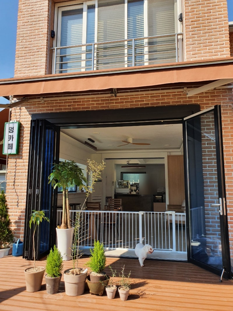 진해애견동반카페 잔디 운동장이 있는 멍카페meong Cafe 네이버 블로그