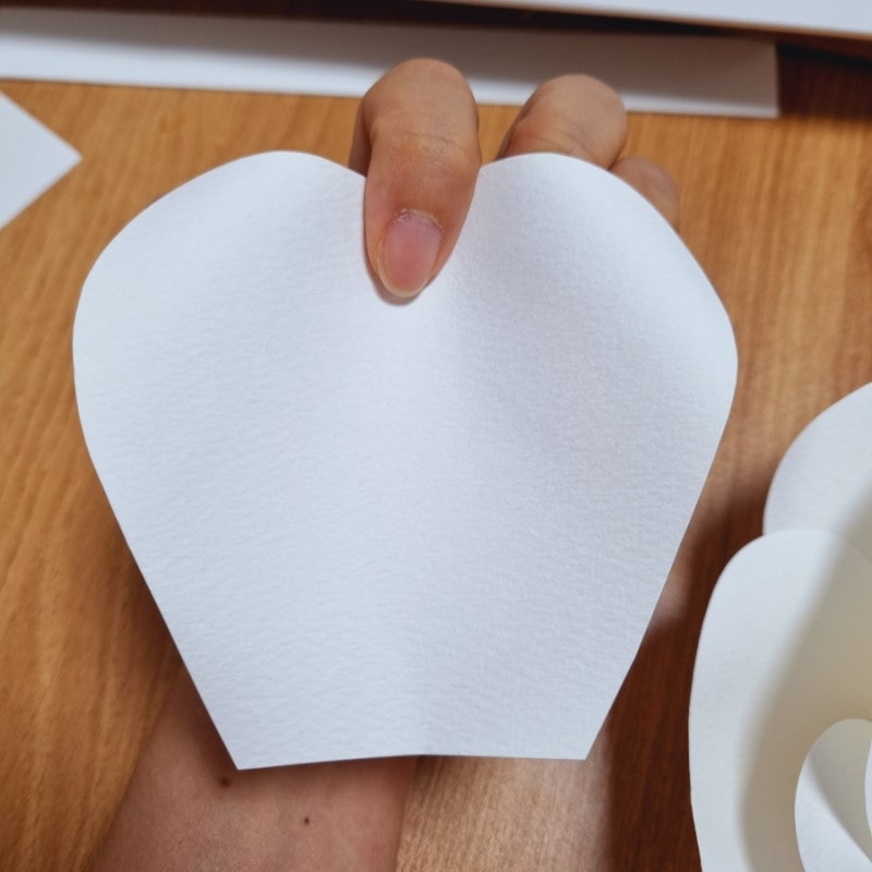 페이퍼플라워 셀프 포토존만들기 졸업식 어린이집 게시판꽃마루자이언트플라워 네이버 블로그