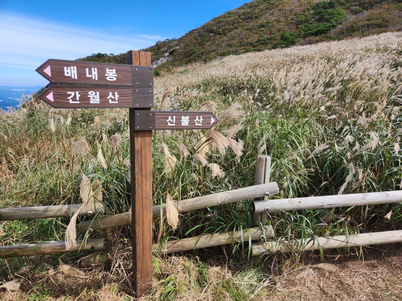 신불산 간월재 등산코스 배내2공영주차장~간월재~신불산 네이버 블로그