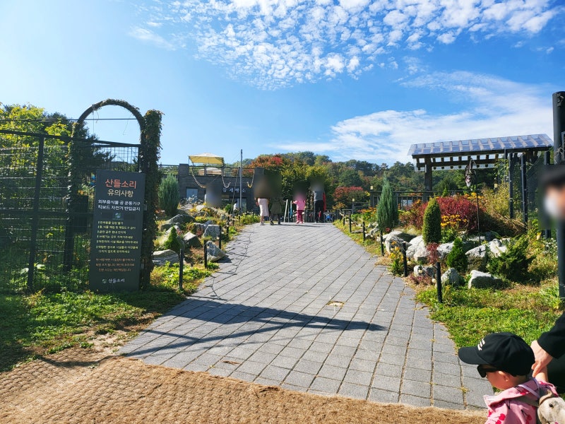 남양주 가볼만한곳 아이와 함께 산들소리 수목원 완전 추천 네이버 블로그