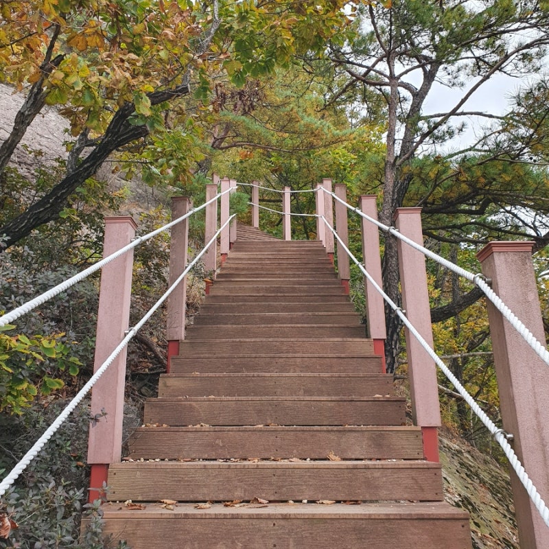 포천 가을 여행지 명성산 억새축제 대중교통 가는 법🌾 사람 없는 책바위 코스가 꿀팁~ 네이버 블로그