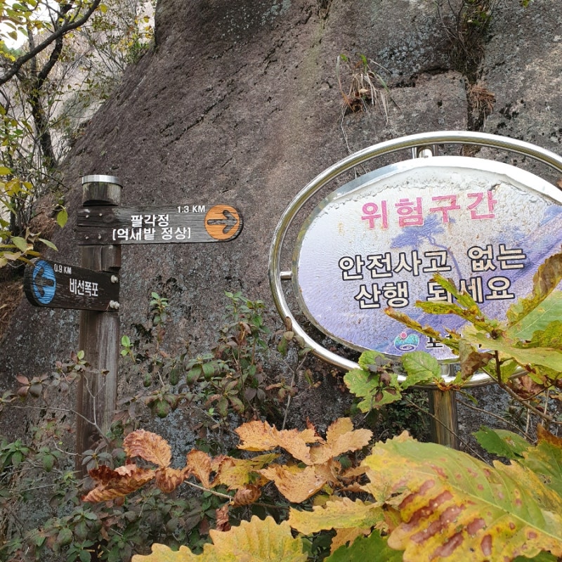 포천 가을 여행지 명성산 억새축제 대중교통 가는 법🌾 사람 없는 책바위 코스가 꿀팁~ 네이버 블로그