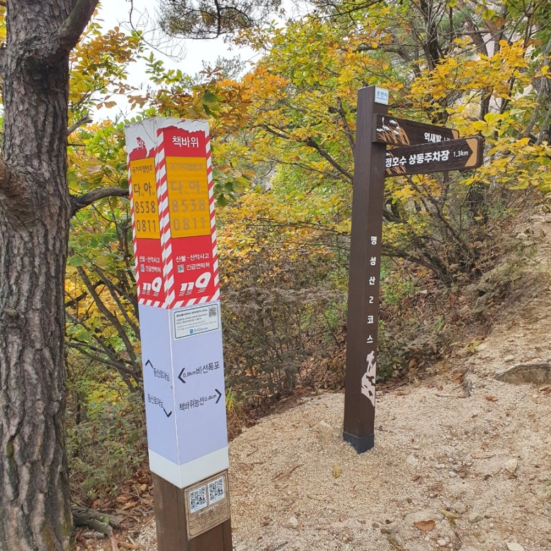 포천 가을 여행지 명성산 억새축제 대중교통 가는 법🌾 사람 없는 책바위 코스가 꿀팁~ 네이버 블로그