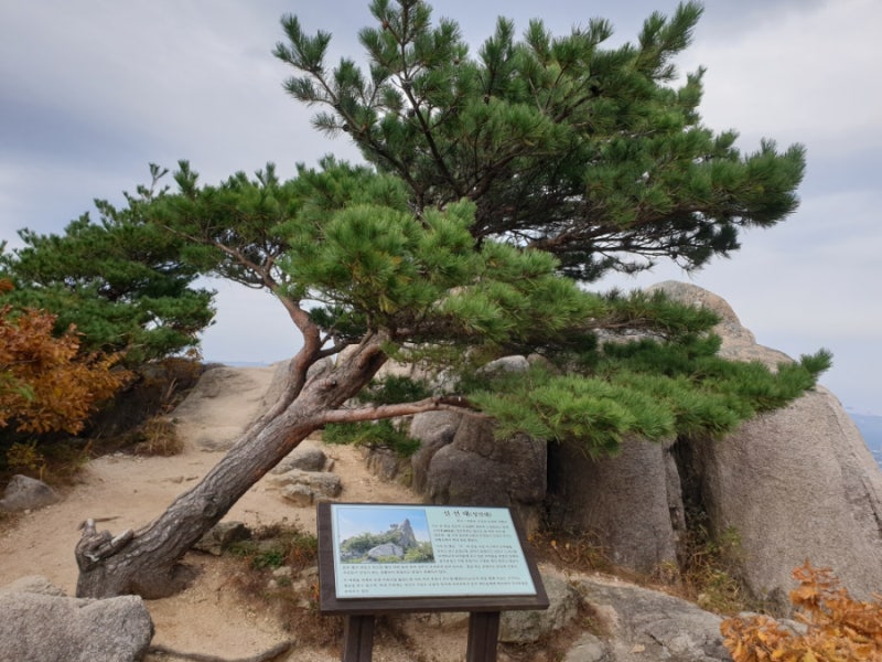 금강산 화암사숲길 등산코스 수바위~신선대~성인대~화암사 강원도 고성의 울산바위 전망대 네이버 블로그